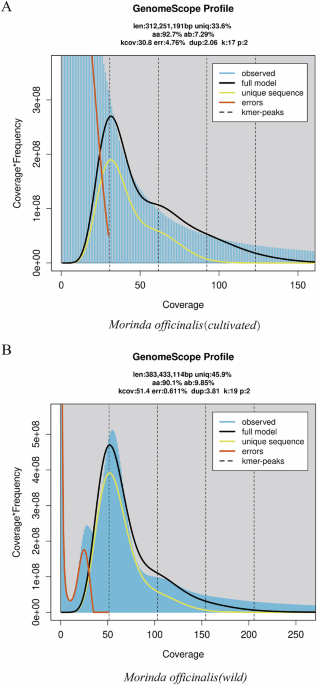 Chromosome-scale genomes of wild and cultivated Morinda officinalis ...