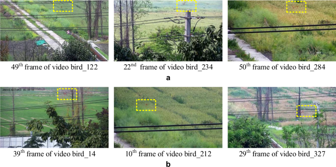 FBD-SV-2024: Flying Bird Object Detection Dataset in Surveillance Video | Scientific Data