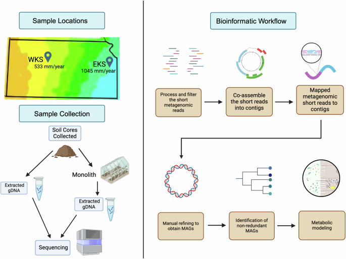 Recovery of 679 metagenome-assembled genomes from different soil depths along a precipitation ...