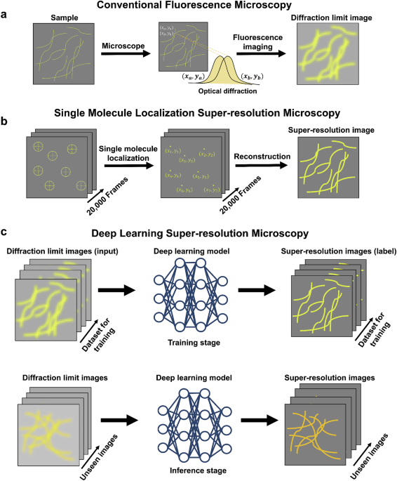Single Molecule Localization Super-resolution Dataset for Deep Learning with Paired Low ...