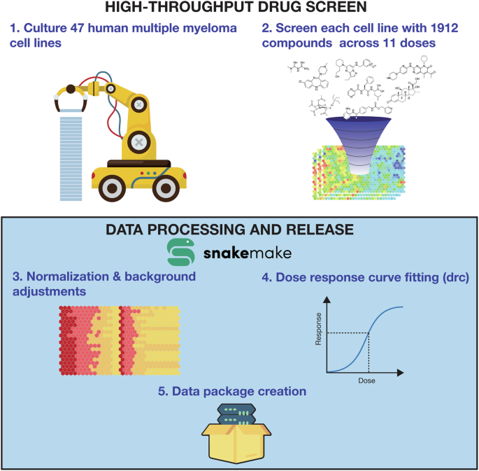 Large-scale human myeloma cell line small molecule compound screen ...