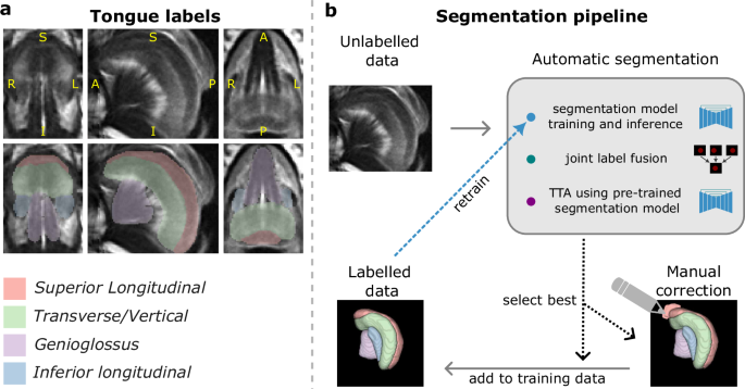 An Annotated Multi-Site and Multi-Contrast Magnetic Resonance Imaging ...