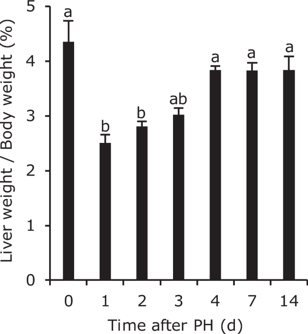 Time-course liver microarray data from 0 to 14 days in a 70% partial ...