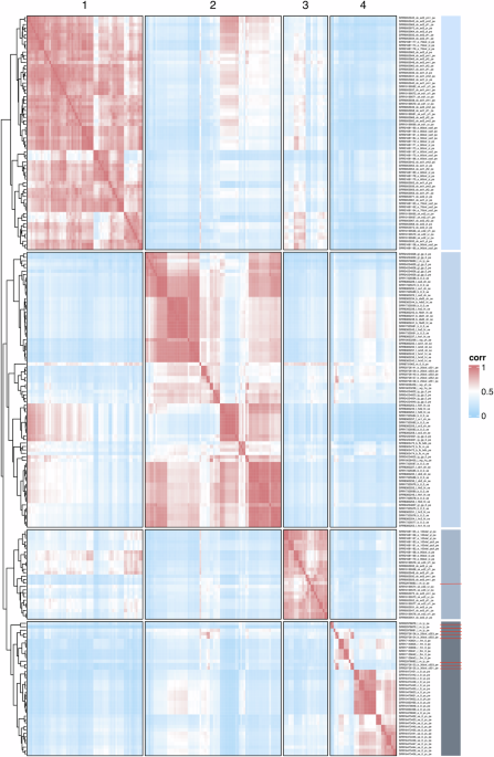 Comprehensive curation and validation of genomic datasets for chestnut ...