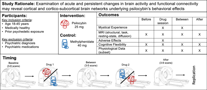 Psilocybin’s acute and persistent brain effects: a precision imaging ...
