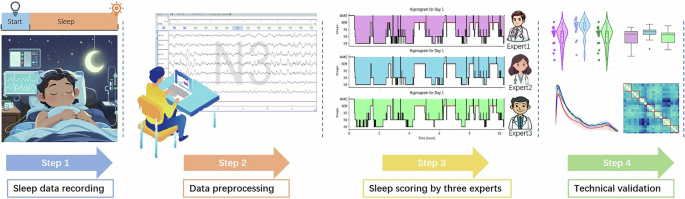 A continuous multi-night sleep database for exploring sleep structure ...