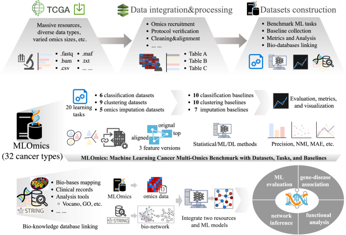 MLOmics: Cancer Multi-Omics Database for Machine Learning | Scientific Data