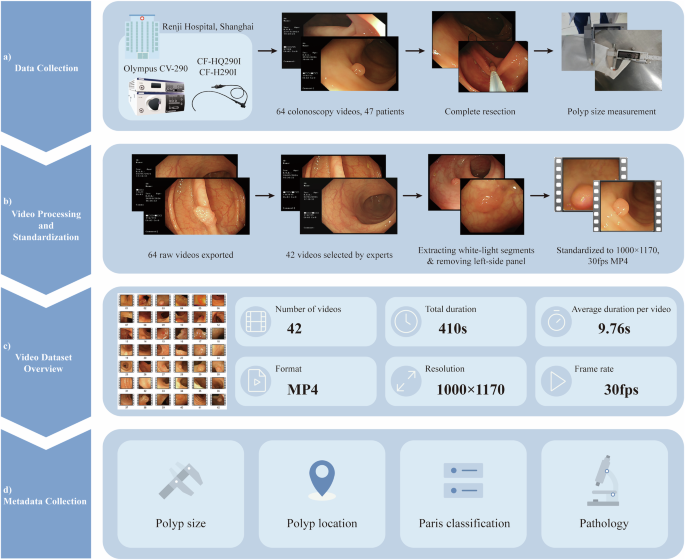 Polyp-Size: A Precise Endoscopic Dataset for AI-Driven Polyp Sizing ...