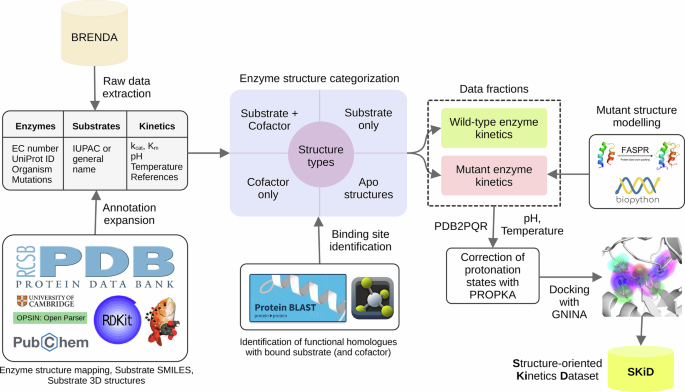 A structure-oriented kinetics dataset of enzyme-substrate interactions ...
