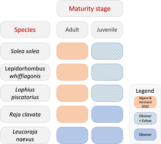 Description of the monthly spatial dynamics of commercial and bycatch demersal species in the ...