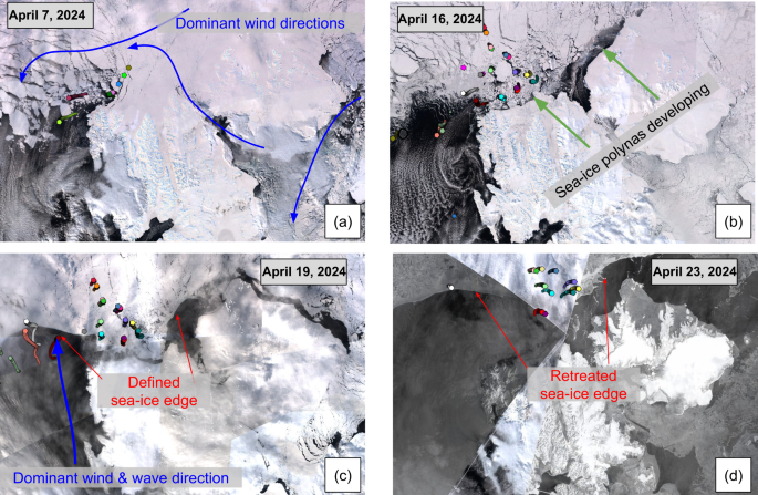 Svalbard Marginal Ice Zone 2024: A distributed network of temperature ...