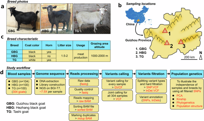 Whole-genome sequencing and variants data of 304 indigenous goats from Southwest China ...