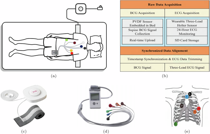 A ballistocardiogram dataset with reference ECG signals for bed-based ...