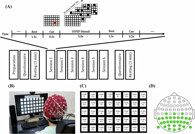 A 40-Class SSVEP Speller Dataset: Beta Range Stimulation for Low ...