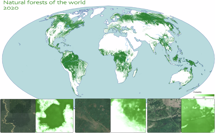 Natural forests of the world – a 2020 baseline for deforestation and ...