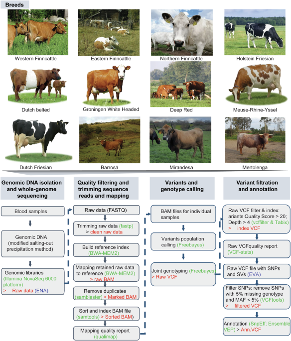 Whole genome sequences of 289 native cattle from Finland, the ...