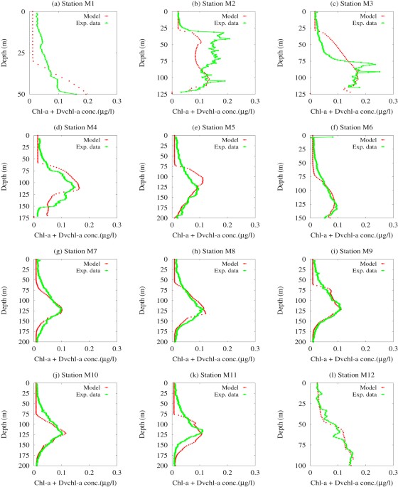 Spatio Temporal Dynamics Of A Planktonic System And Chlorophyll