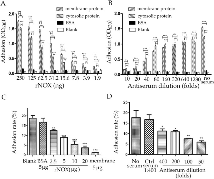 Mycoplasma bovis NADH oxidase functions as both a NADH oxidizing and O ...