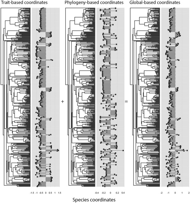 Environmental filtering structures tree functional traits combination ...