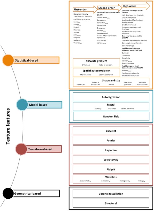 PET Radiomics in NSCLC: state of the art and a proposal for ...