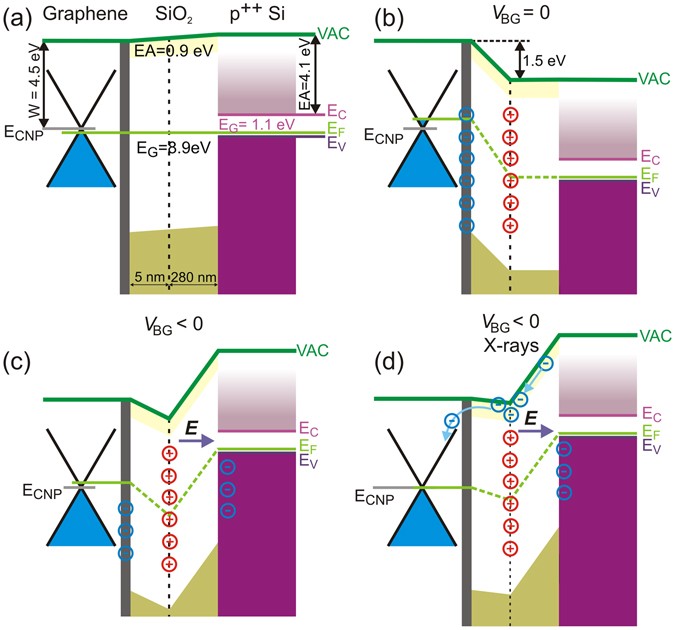 X-ray induced electrostatic graphene doping via defect charging in gate ...