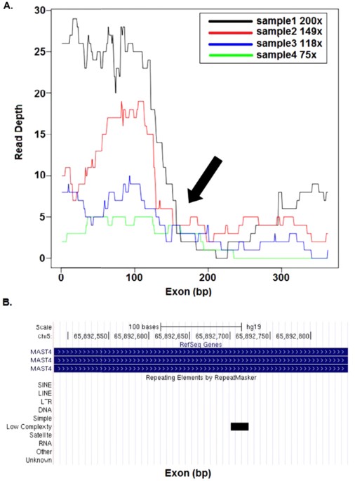 Novel metrics to measure coverage in whole exome sequencing datasets ...