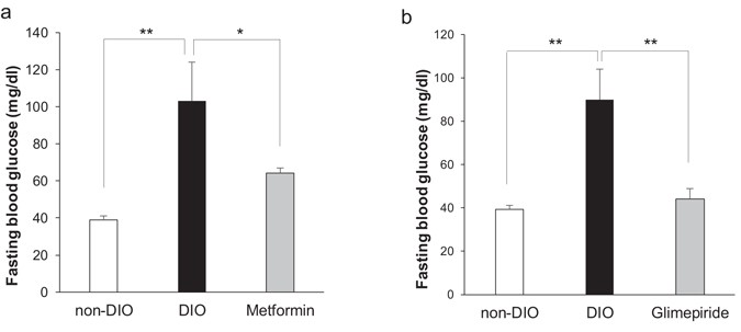 Development of a Novel Zebrafish Model for Type 2 Diabetes Mellitus ...