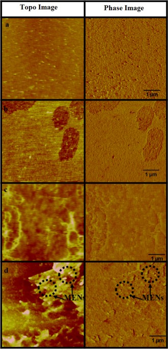 Multiferroic coreshell magnetoelectric nanoparticles as NMR sensitive ...