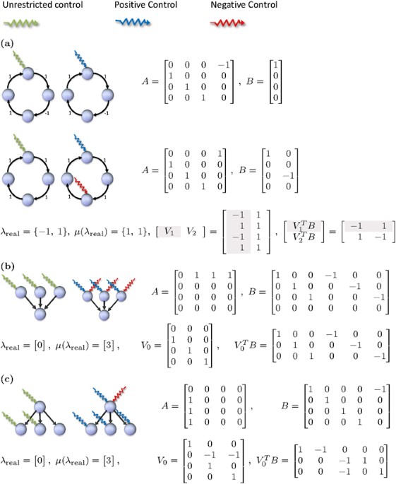 Controllability of complex networks with unilateral inputs | Scientific ...