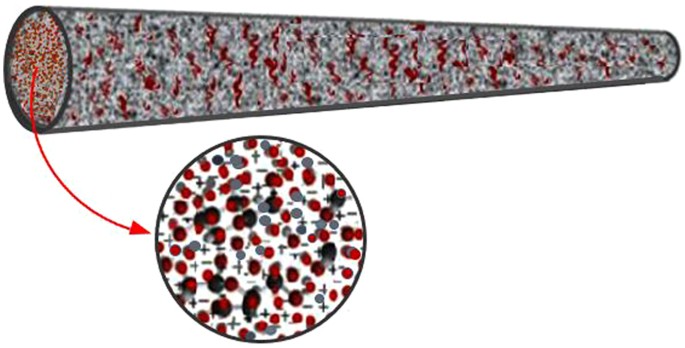 Solitonic conduction of electrotonic signals in neuronal branchlets ...