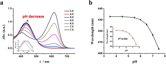 Single-cell pH imaging and detection for pH profiling and label-free ...