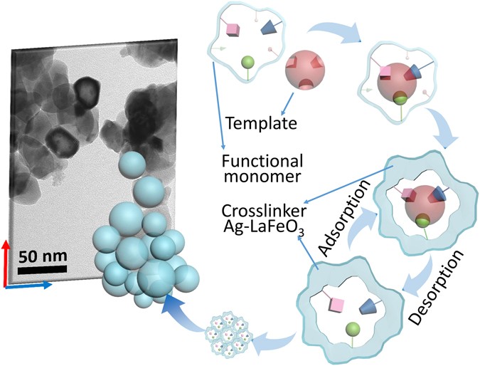 A gas sensor array for the simultaneous detection of multiple VOCs ...