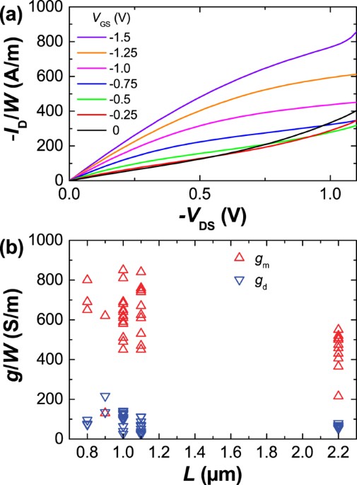 High-Gain Graphene Transistors with a Thin AlO x Top-Gate Oxide ...
