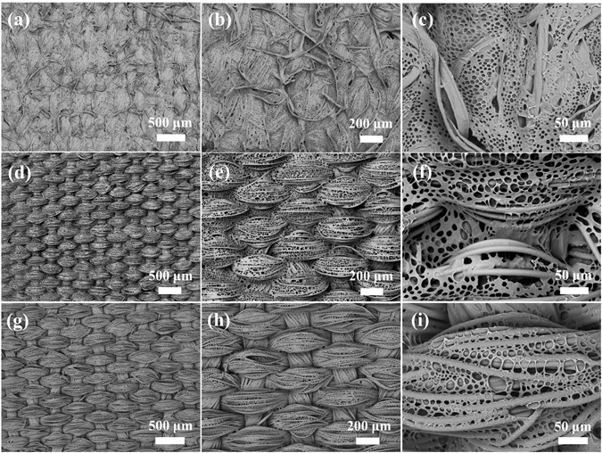 Three Dimensionally Conformal Porous Microstructured Fabrics Via Breath Figures A Nature
