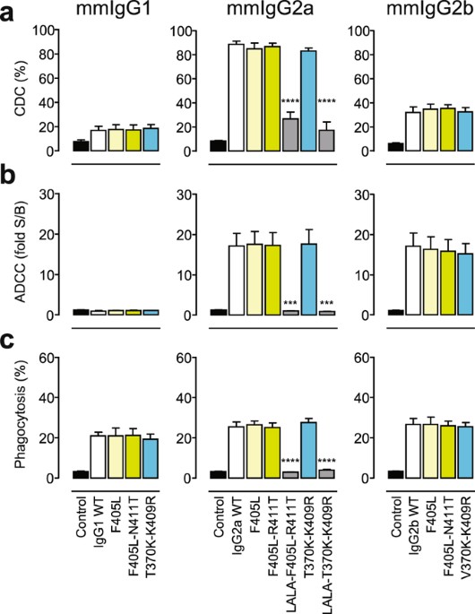 Efficient Generation of Bispecific Murine Antibodies for Pre-Clinical ...