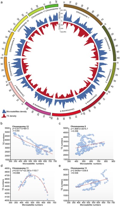 Genome-wide mapping and characterization of microsatellites in the ...