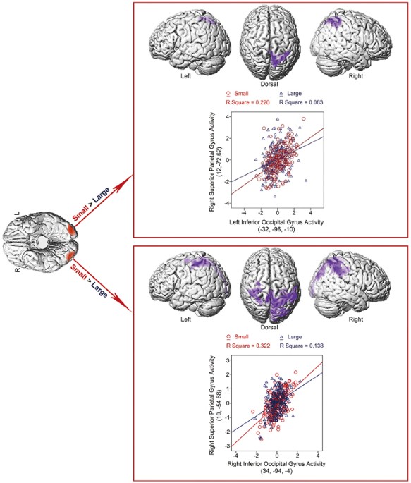 Neural Correlates underlying Size Constancy in Virtual Three ...