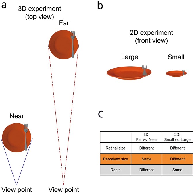 Neural Correlates underlying Size Constancy in Virtual Three ...
