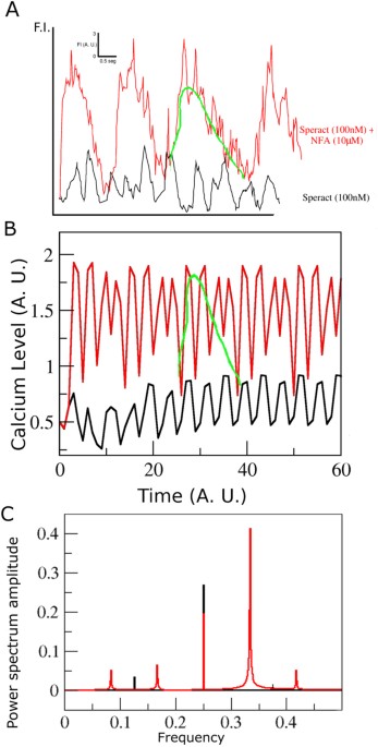 Network model predicts that CatSper is the main Ca 2+ channel in the ...