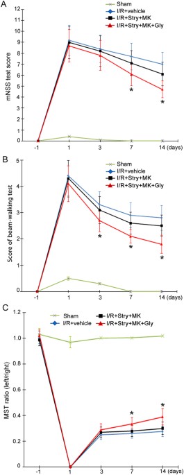 A non-ionotropic activity of NMDA receptors contributes to glycine ...