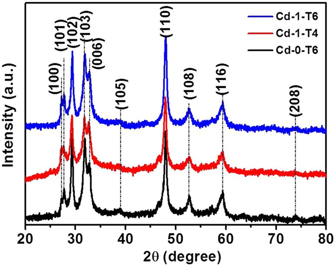 One-pot hydrothermal synthesis of CdS decorated CuS microflower-like ...
