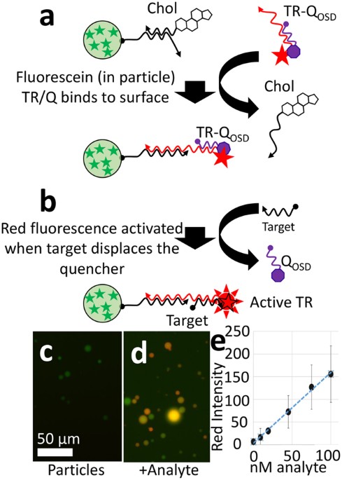 Biomimetic Molecular Signaling using DNA Walkers on Microparticles ...
