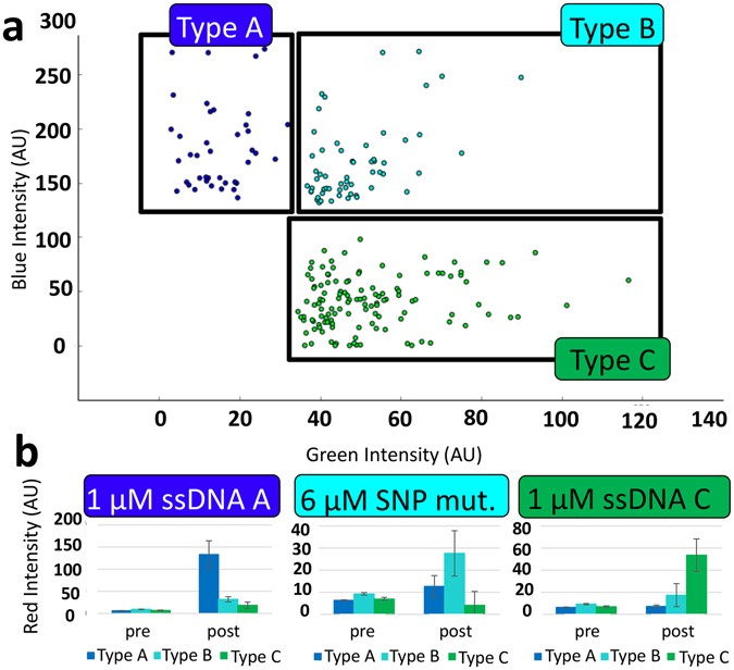 Biomimetic Molecular Signaling using DNA Walkers on Microparticles ...