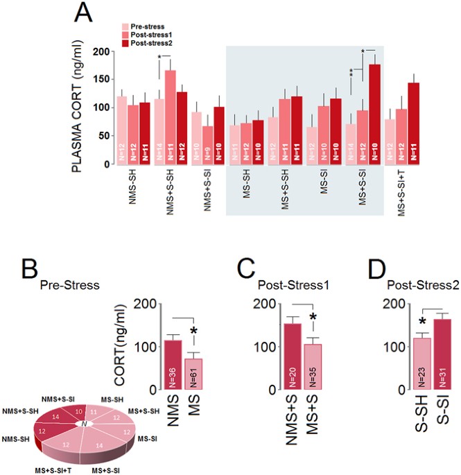 Lack of Social Support Raises Stress Vulnerability in Rats with a ...