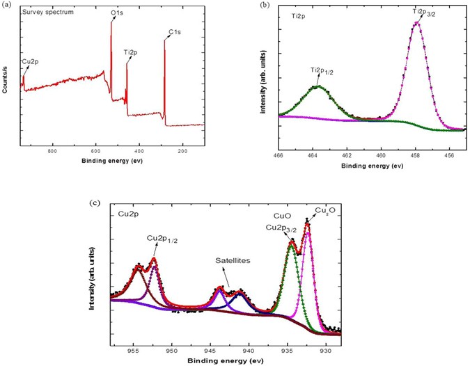Marangoni effect induced macro porous surface films prepared through a ...