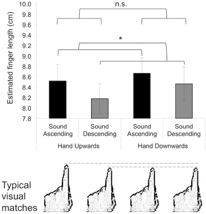 Contingent sounds change the mental representation of one’s finger ...
