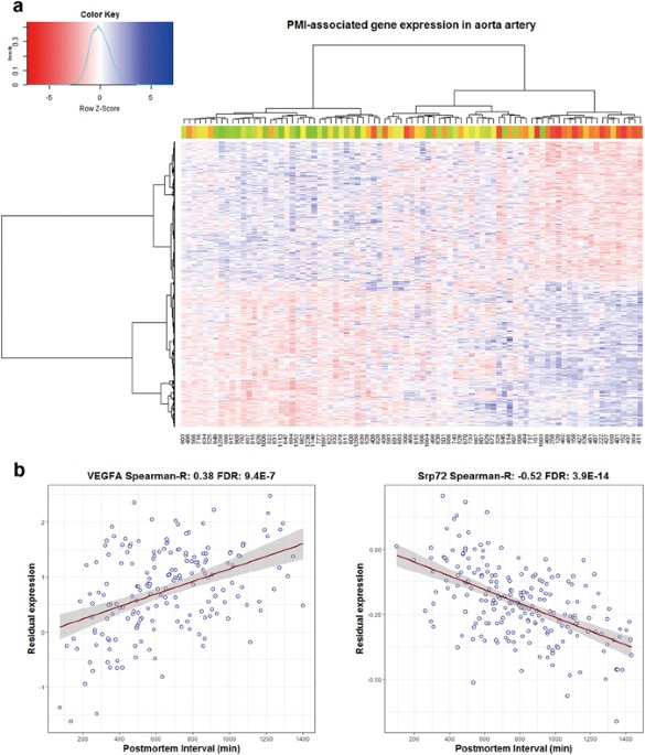 Systematic analysis of gene expression patterns associated with ...