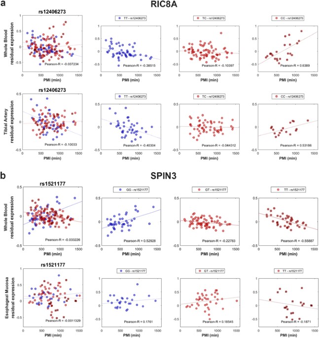 Systematic analysis of gene expression patterns associated with ...
