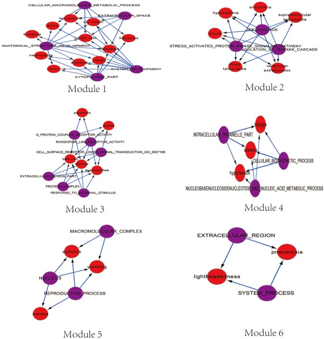 Large-Scale Analysis of Drug Side Effects via Complex Regulatory ...