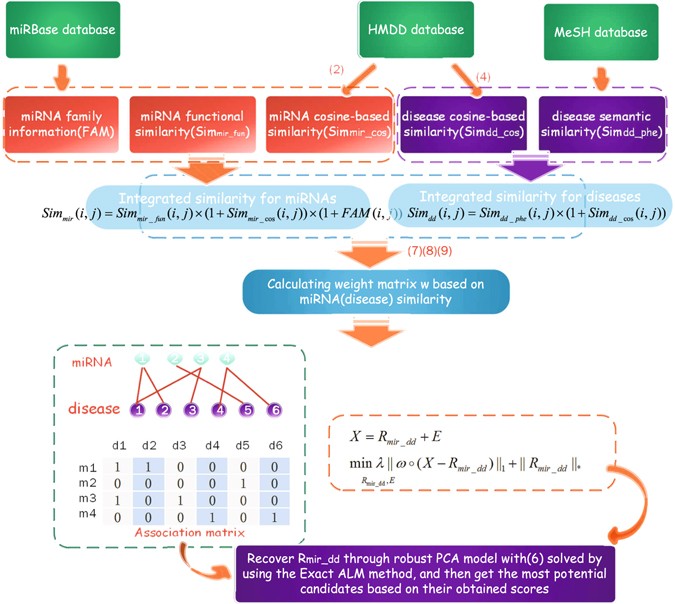 Improved low-rank matrix recovery method for predicting miRNA-disease ...